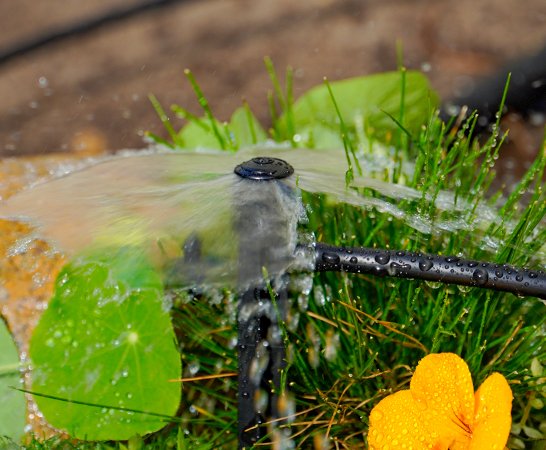 2024 | dial4exportmarket